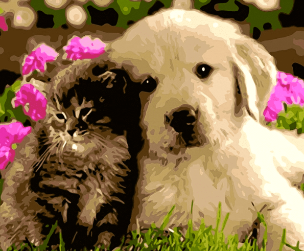 Kitten and Puppy Dog – Paint by Numbers Kit | Just Paint by Number