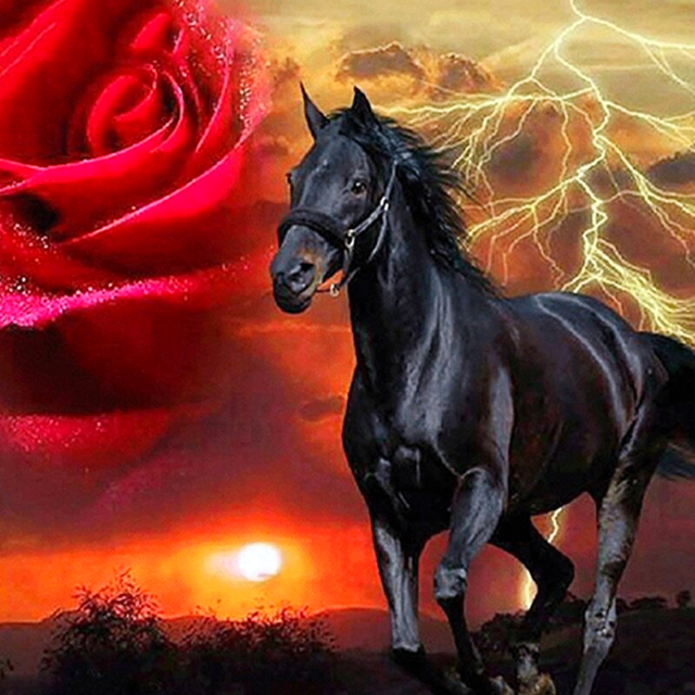 Paint by Numbers Black Horse & Red Rose | Just Paint by Number