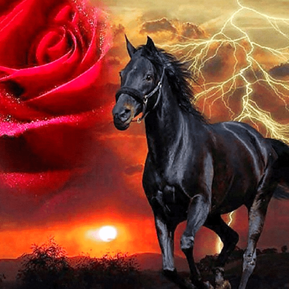 Paint by Numbers Black Horse & Red Rose | Just Paint by Number